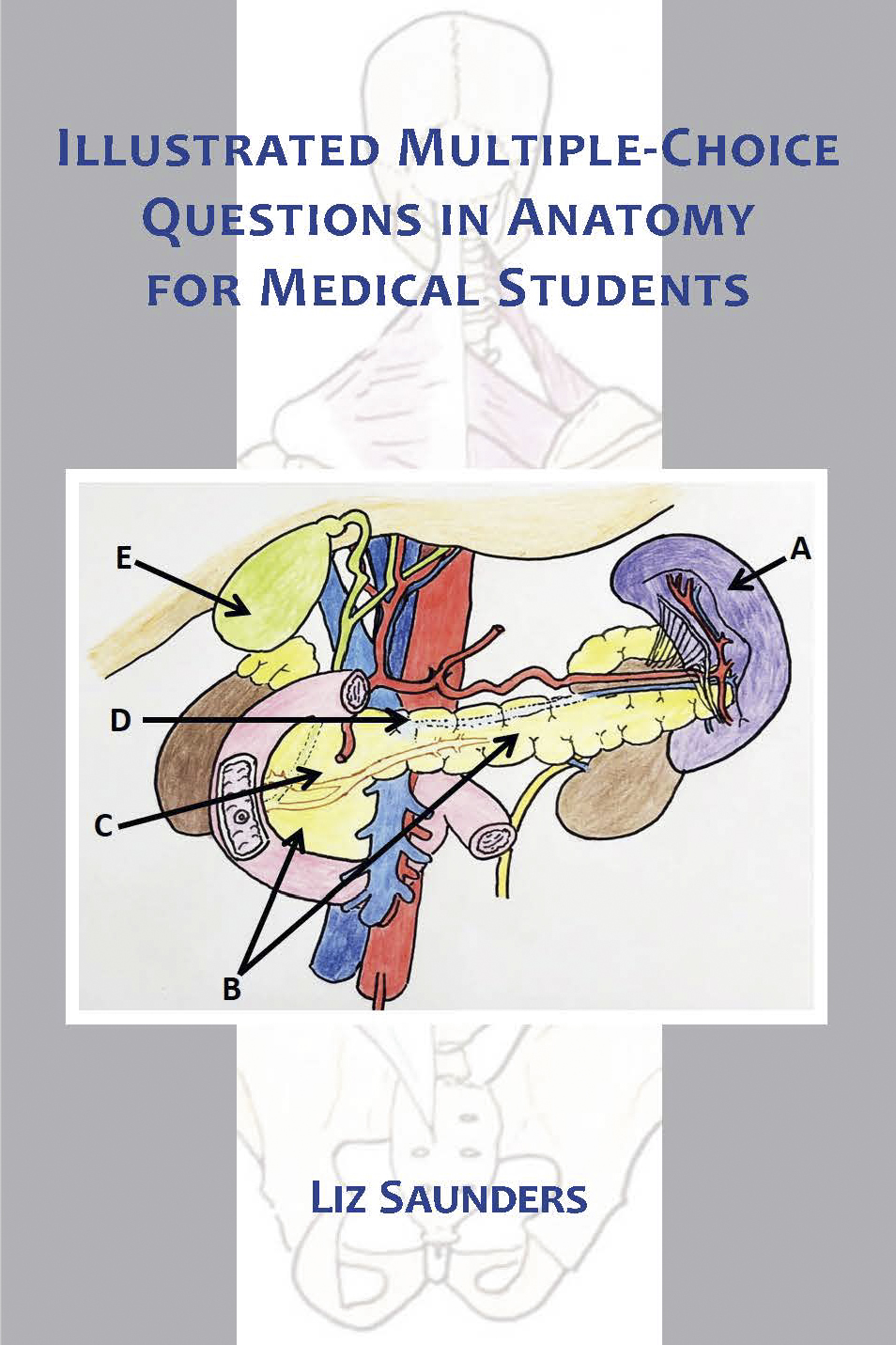 Illustrated Multiple Choice Questions In Anatomy For Medical Illustrated Multiple Choice Questions In Anatomy For Medical